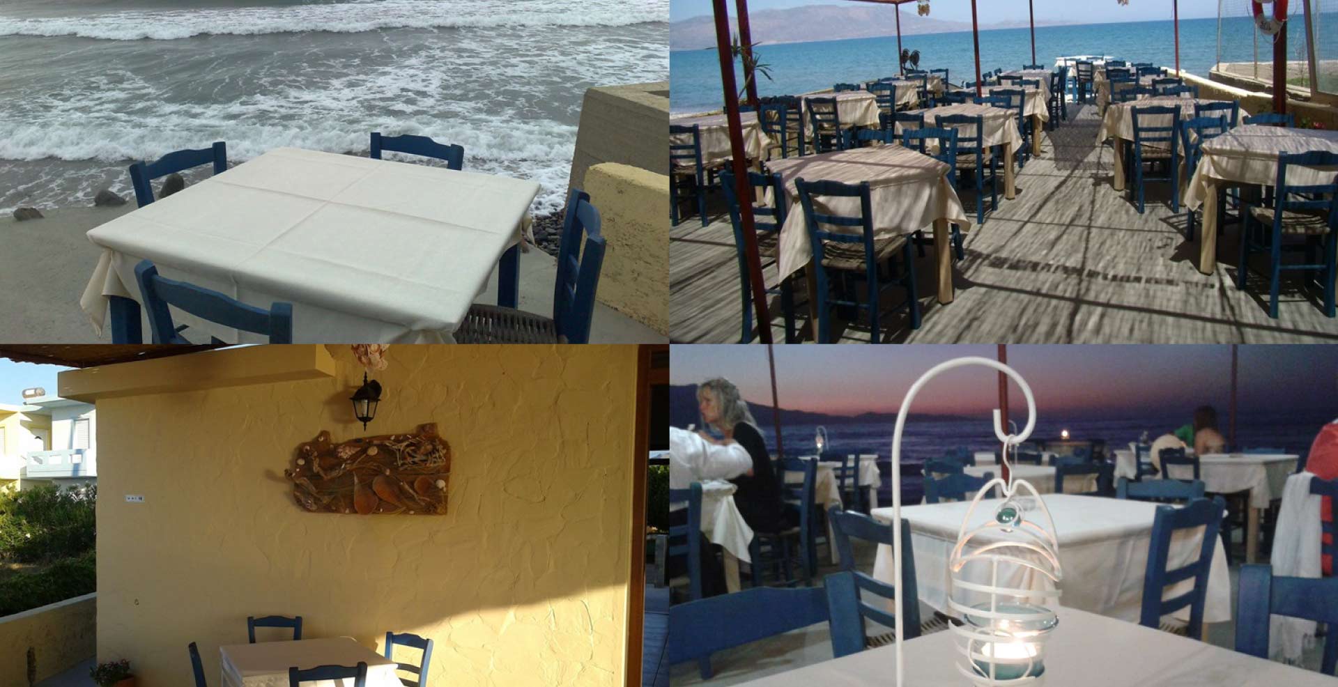 Τι είναι η Πορφύρα | Πορφύρα